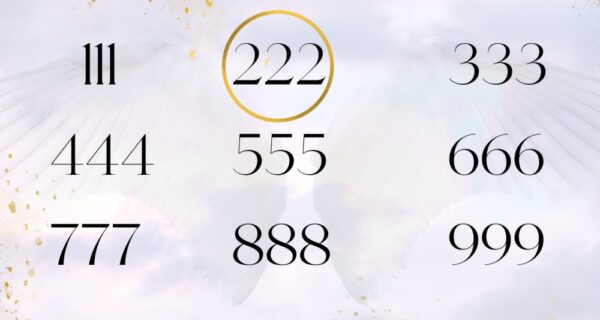 Your Ultimate Guide to Angel Numbers - Divine Twist